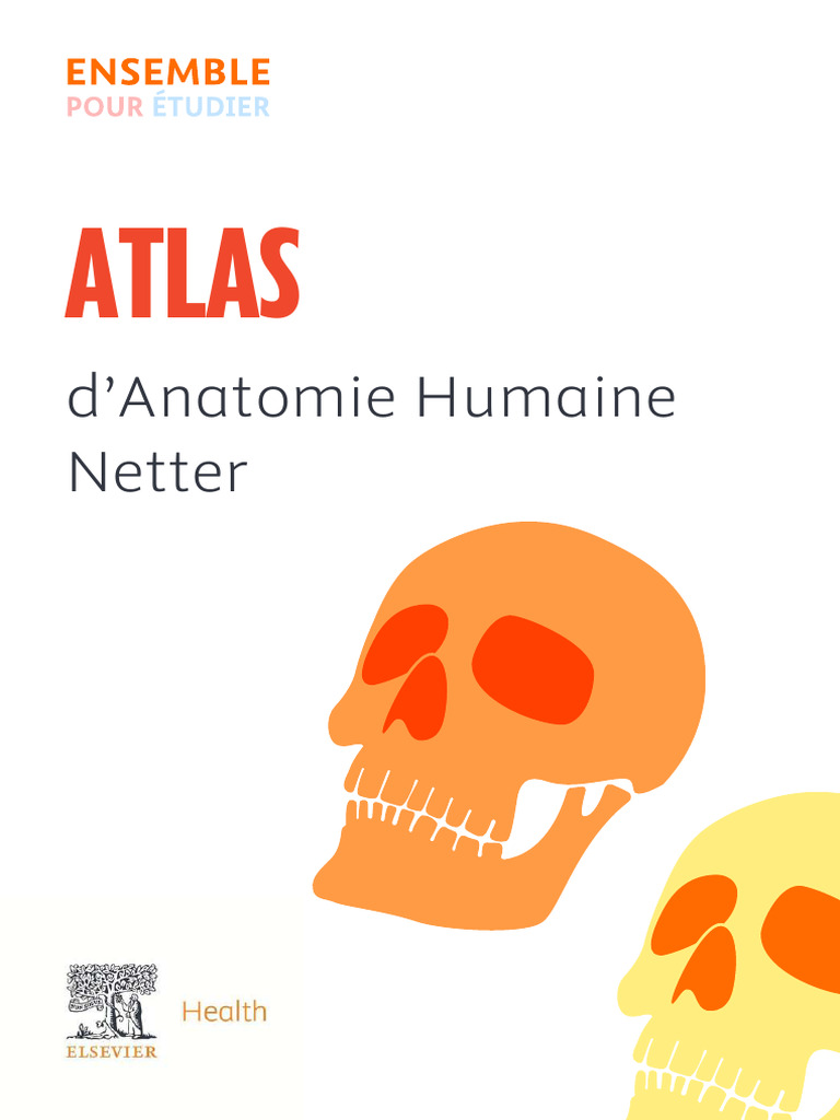 Atlas D-Anatomie Netter 1 Compressed | PDF