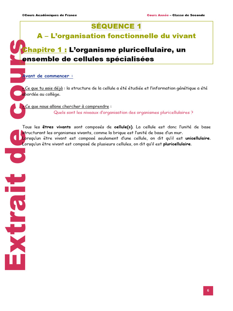 L'organisme Pluricellulaire, Un Ensemble de Cellules Spécialisées | PDF