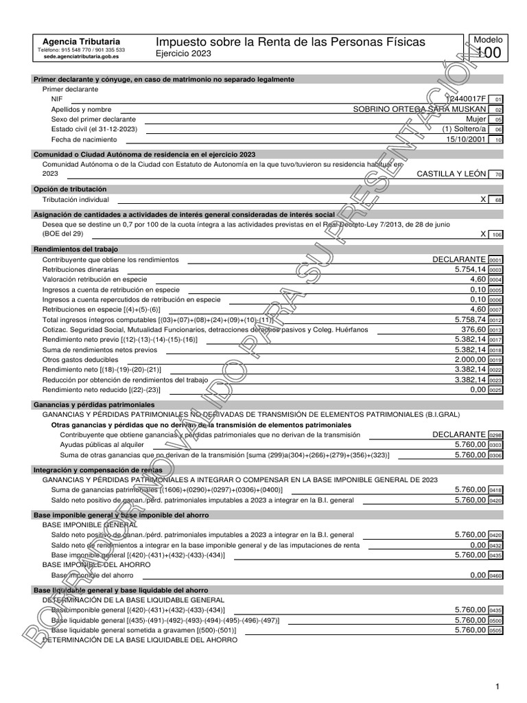 Tax Return Draft | PDF