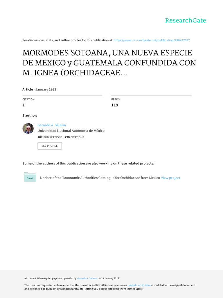 Salazar 1992 Mormodes Sotoana | PDF