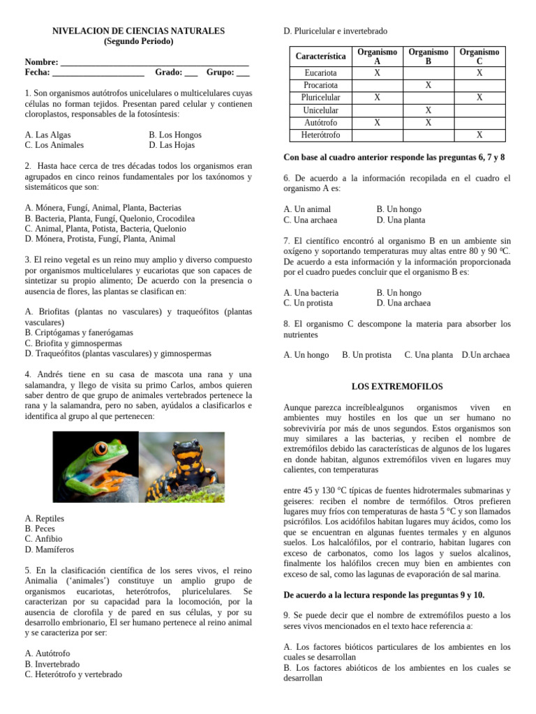 NIVELACION DE CIENCIAS NATURALES Segundo Periodo 6 | PDF