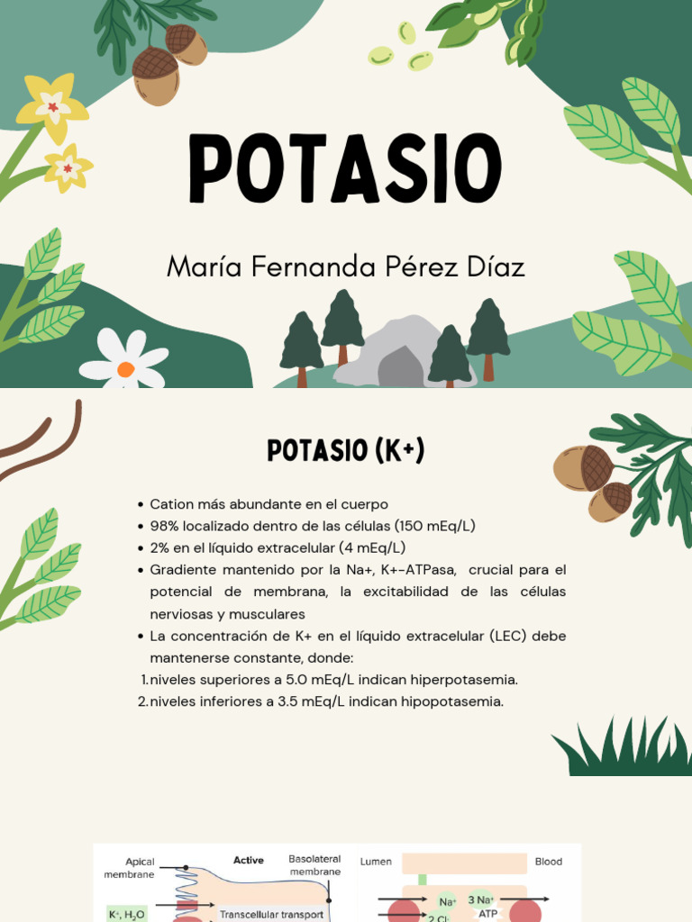 Potasio.pdf | PDF