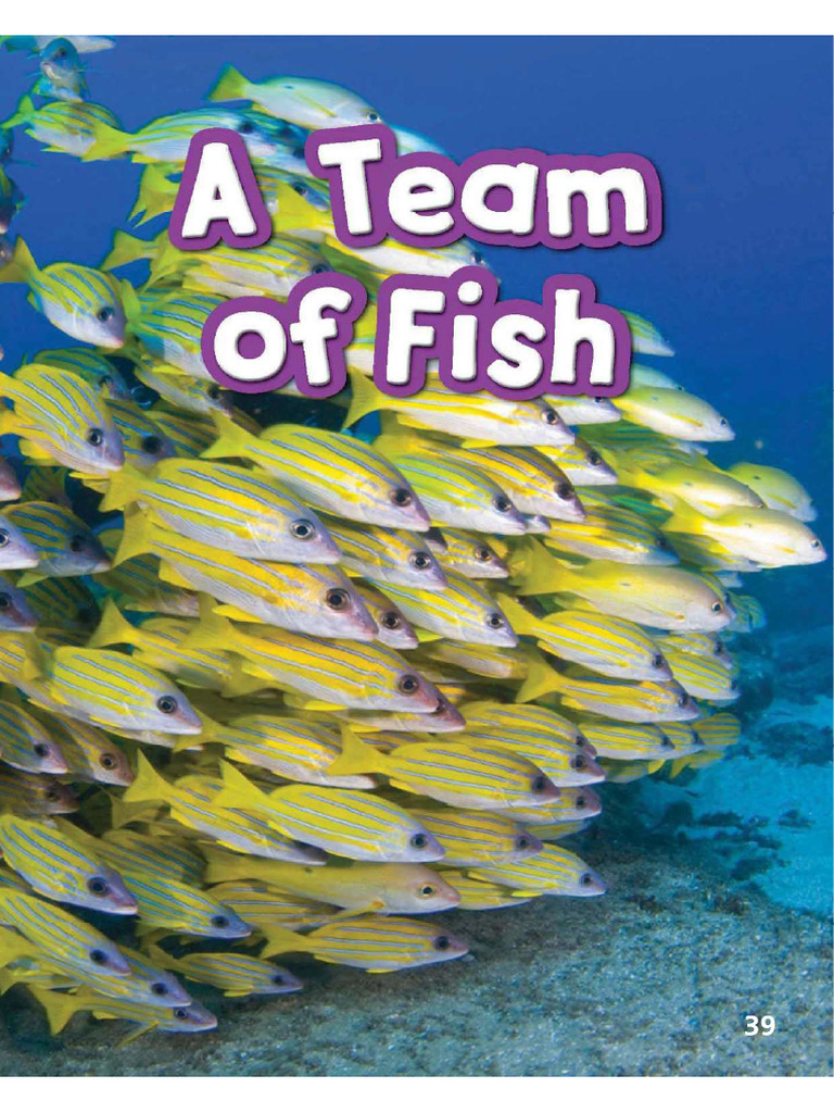 A Team of Fish | PDF