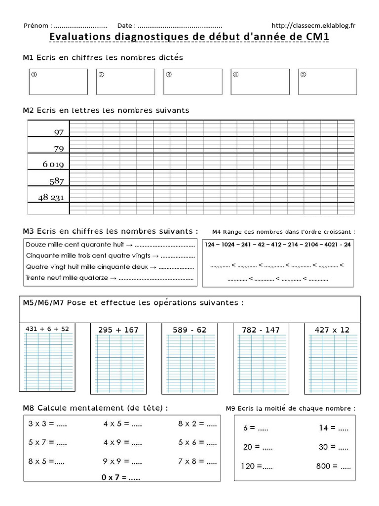 Evaluations Diagnostiques CM1 | PDF