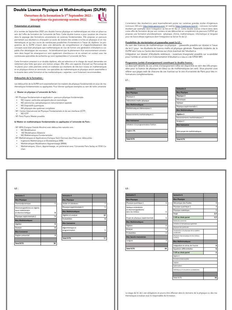 Flyer-Dlpm Licence Maths 0 | PDF