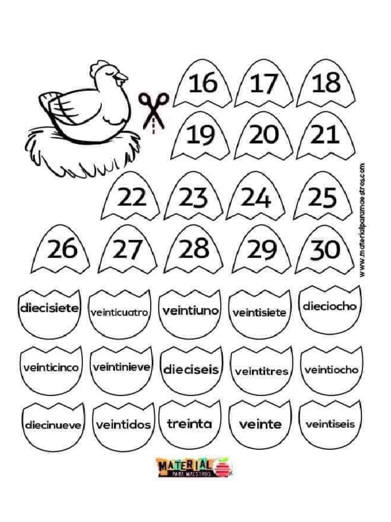 Gallina | PDF