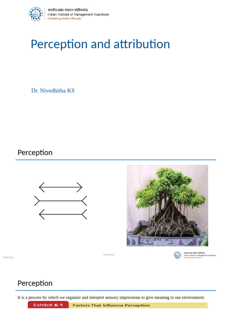 Session2 - Perception and Attribution | PDF