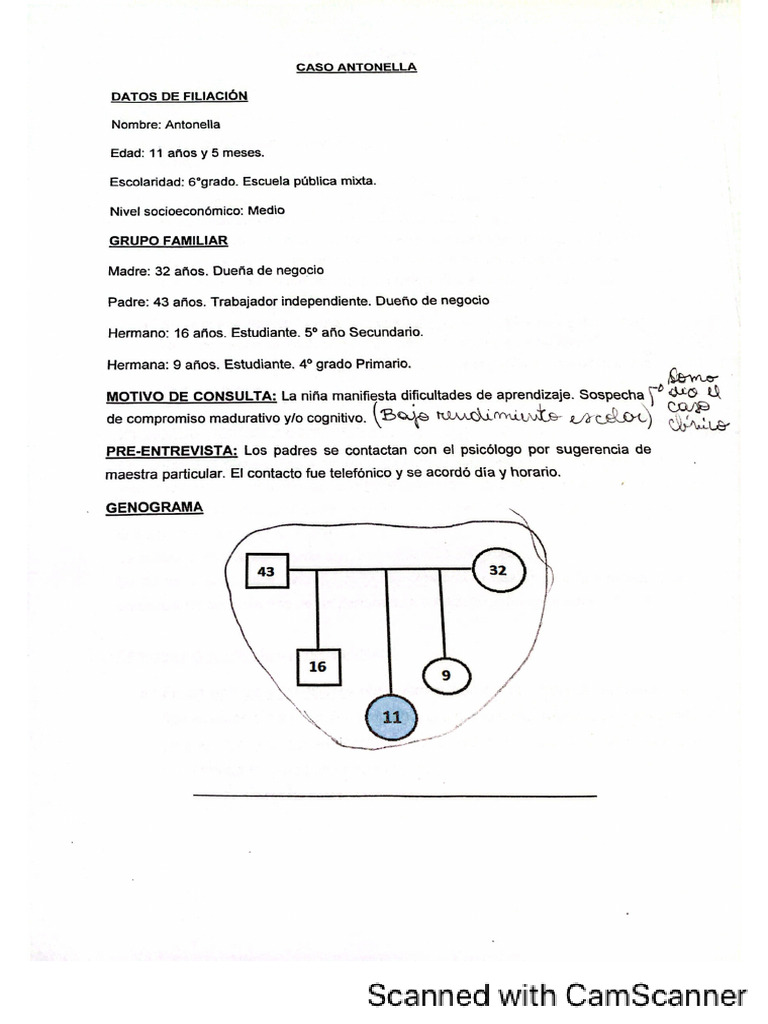 Caso Antonella FKA Analisis | PDF