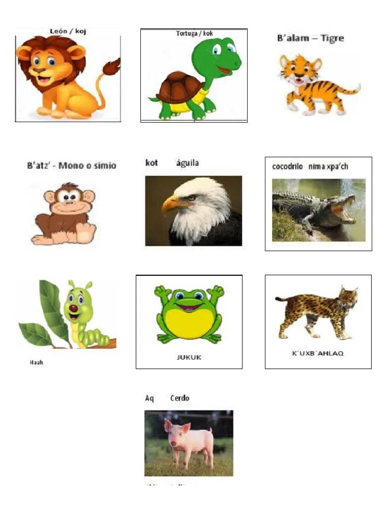 animales en poqomchi | PDF