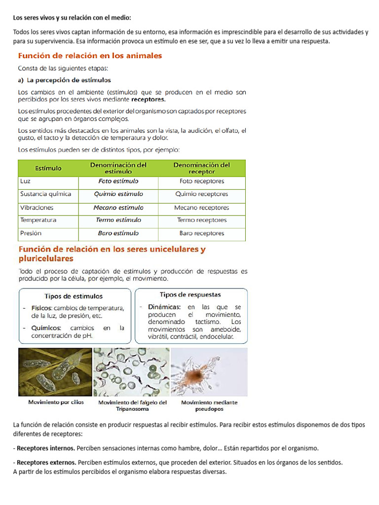 Los Seres Vivos y Su Relación Con El Medio Actividades Estudiantes | PDF