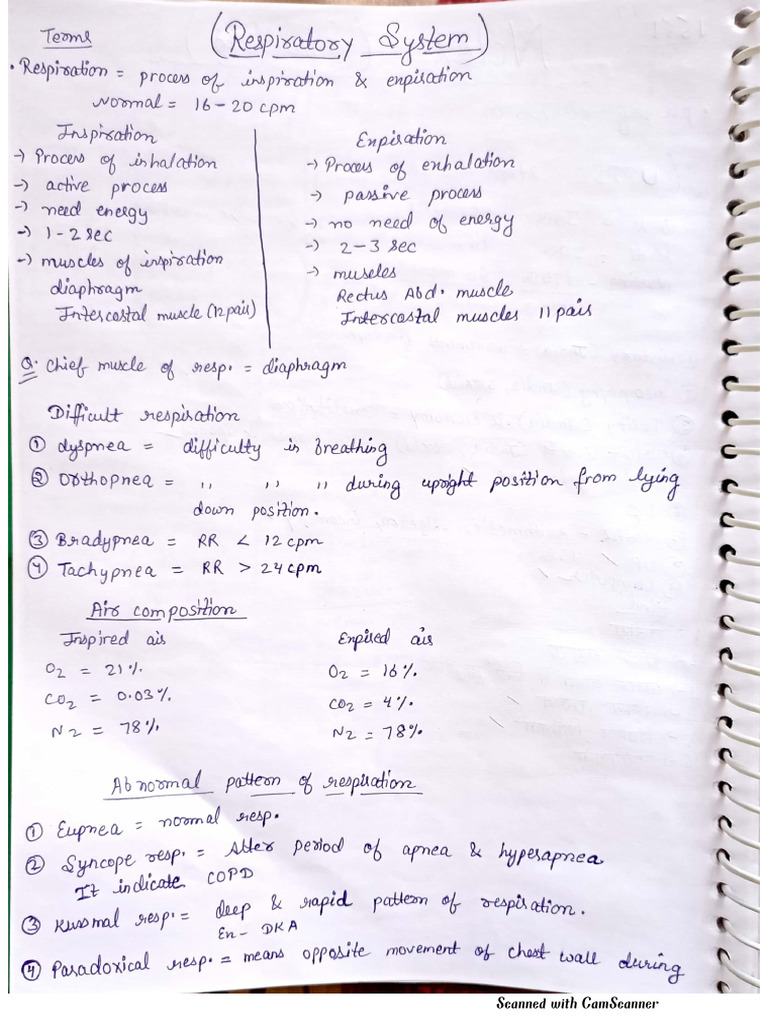 Respiratory + One Page | PDF