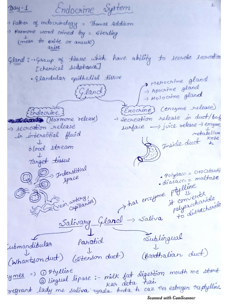 Endocrine + Skin + Burn | PDF