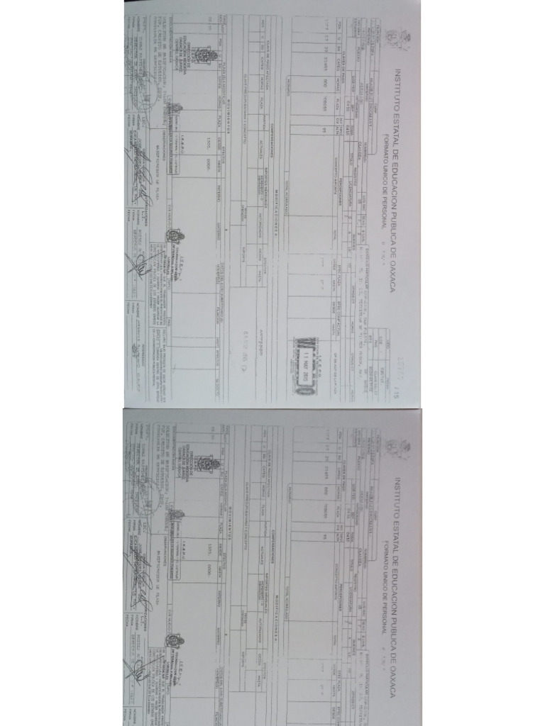 Presentación WPS Office | PDF