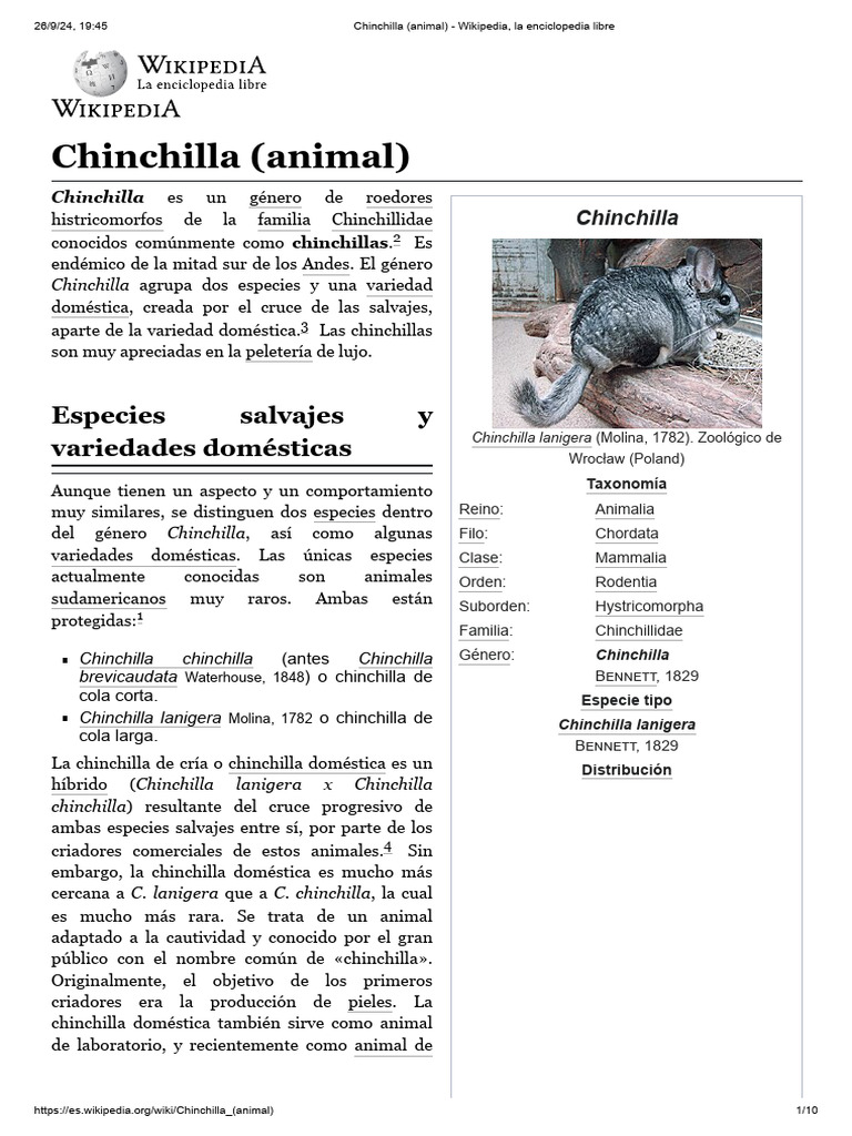 Chinchilla (Animal) | PDF