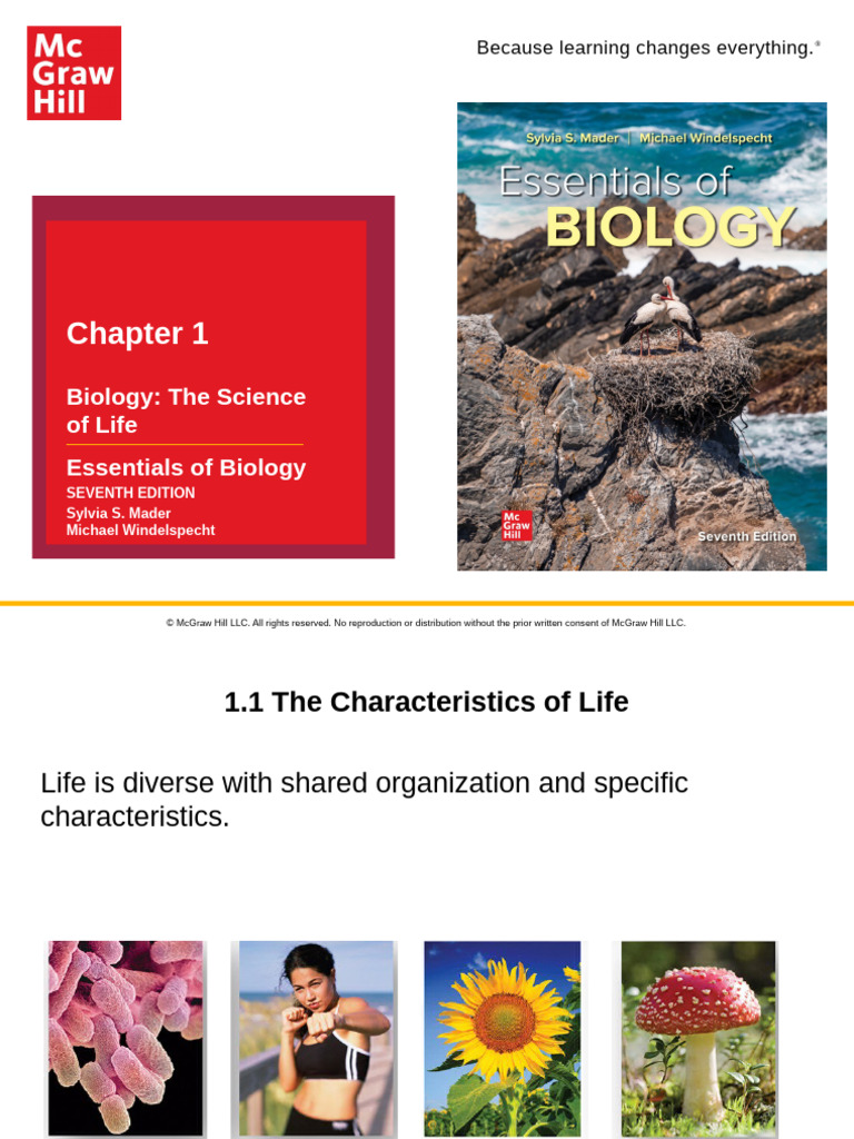 Mader Essentials 7e LecturePPT Ch01 ACCESS | PDF