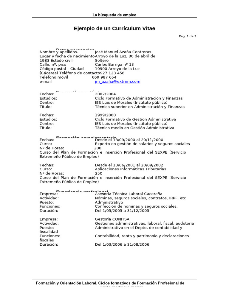 curriculumVitae-Ejemplos | PDF