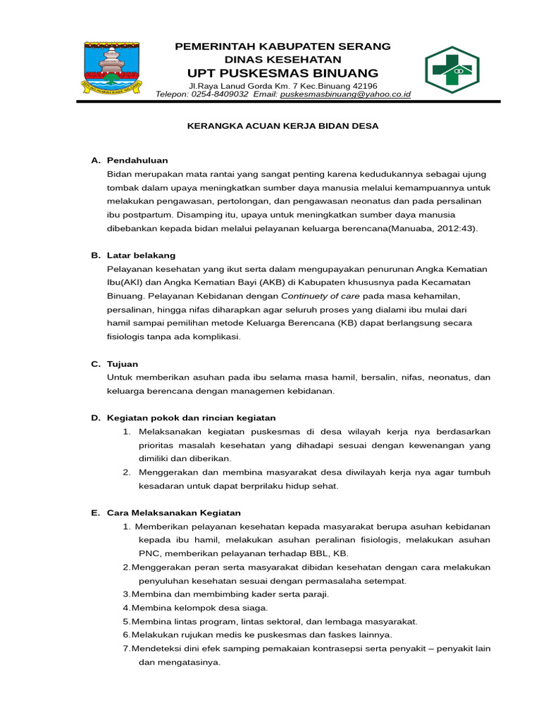 KAK Bidan Desa | PDF