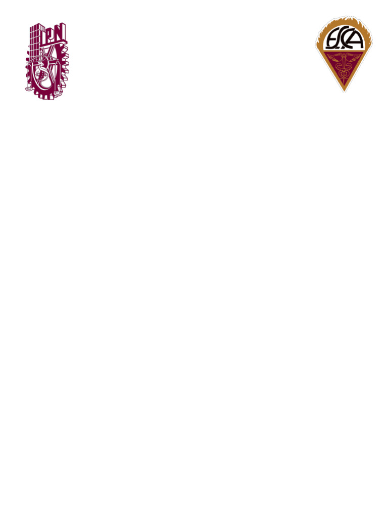 U1A4 Frankr Estephane | PDF