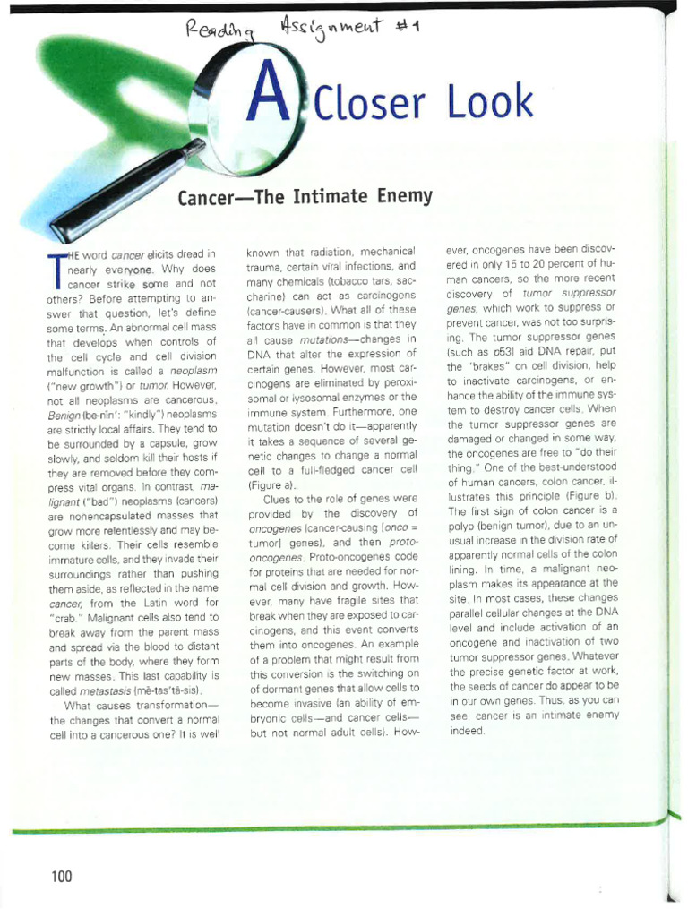 SNC2Db - Reading Assignment - One Cancer - The Intimate Enemy | PDF