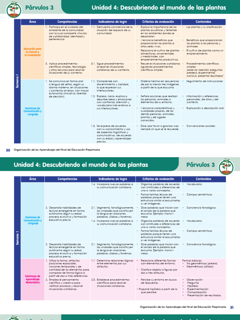 Organización P3_U4 | PDF