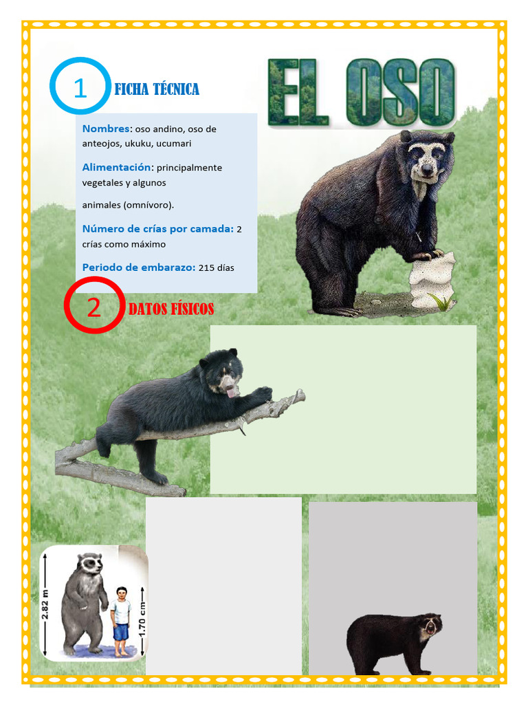 D1 A1 SESION COM. Leemos una infografía sobre un animal peruano | PDF