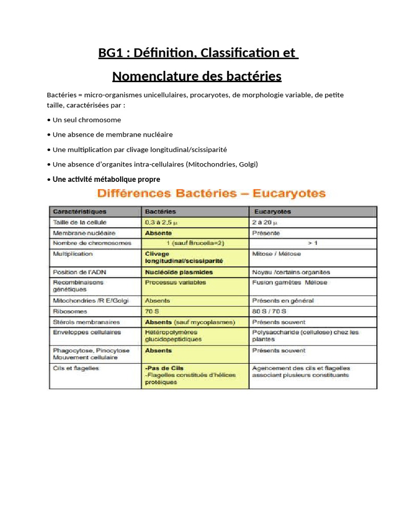 Bacterio | PDF