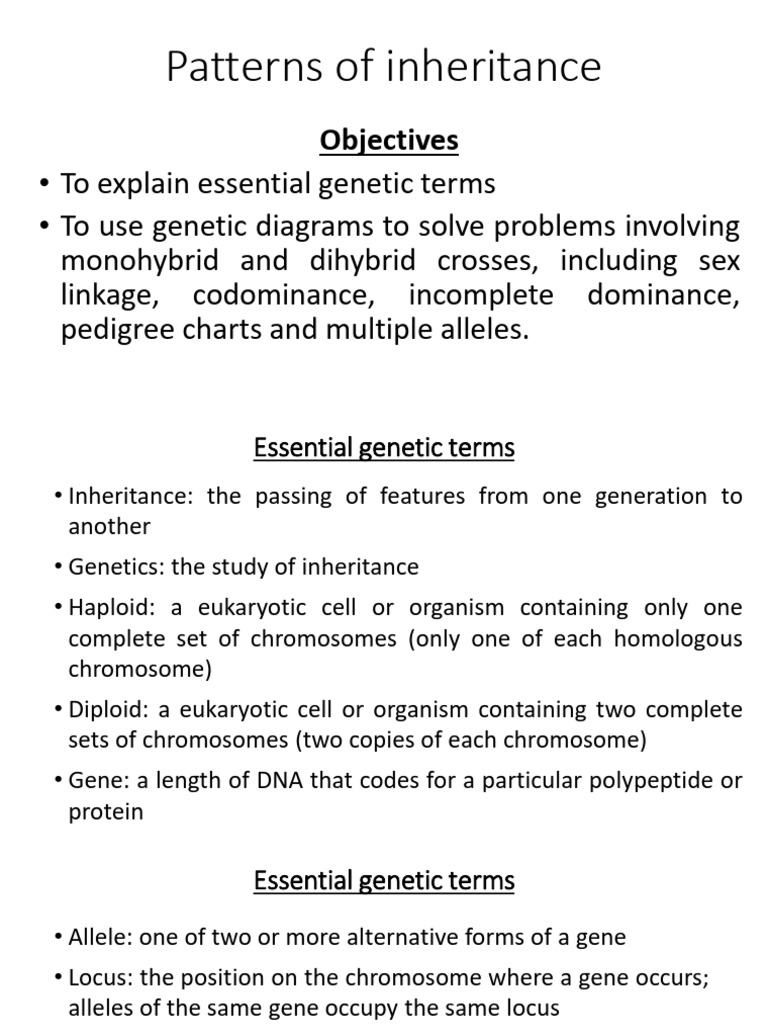 Patterns of Inheritance Lecture 2023 | PDF