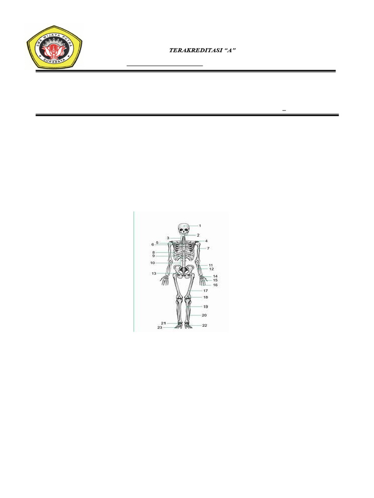 Soal Pas Bio Xi SMTR 1 20-21 | PDF