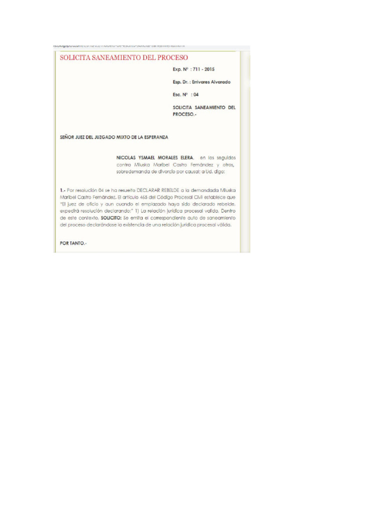 Se Sanea El Proceso | PDF