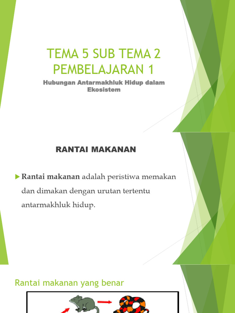 PPT Media PMBLJRN Tema 5 Sub Tema 2 PB 1 | PDF
