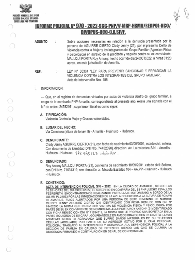 requerimiento pdf | PDF