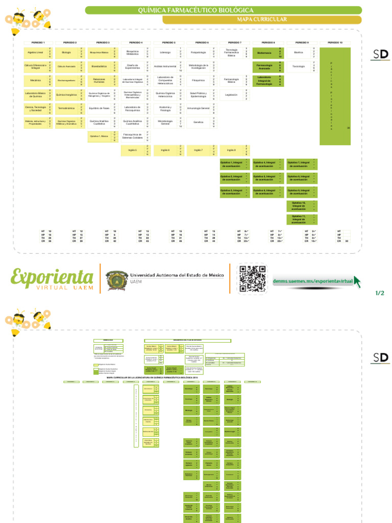 Mapa QFB | PDF