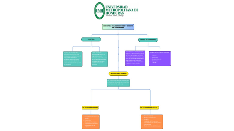 Mapa Conceptual Lilian Duarte | PDF
