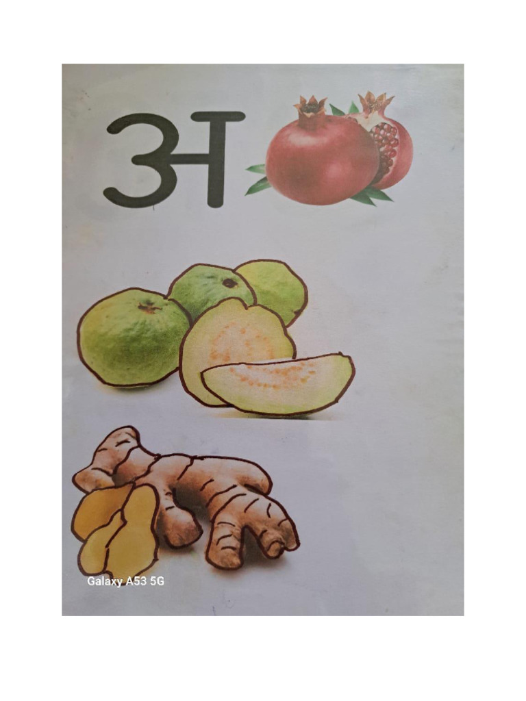 Hindi Flash Card | PDF
