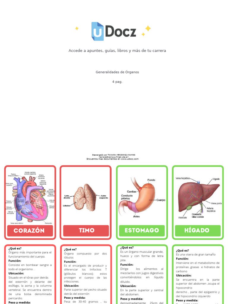 Órganos Medidas | PDF