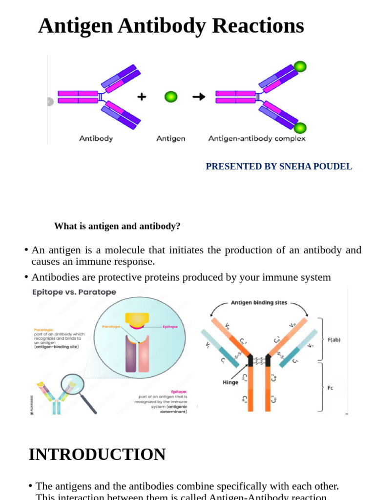 Antigen Antibody Reactions | PDF