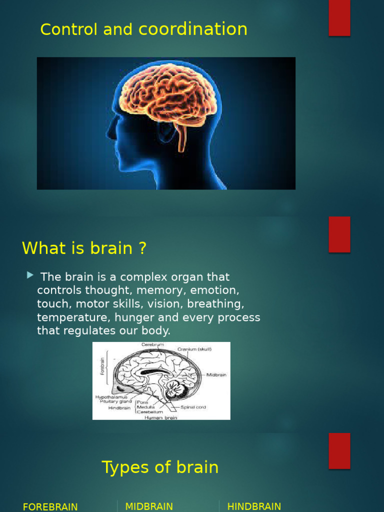 Kishan Kumar Class 10 | PDF