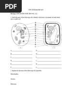 SNC2D Biology Exam Review Guide | PDF | Cell (Biology) | Cancer