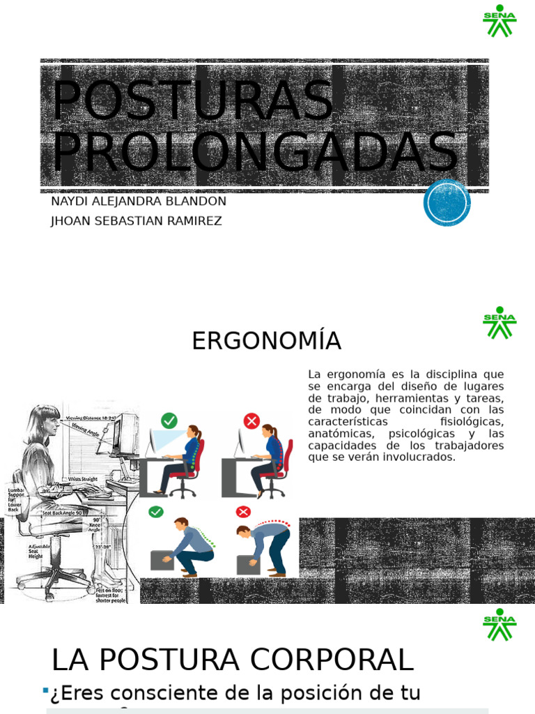 Posturas Prolongadas | PDF