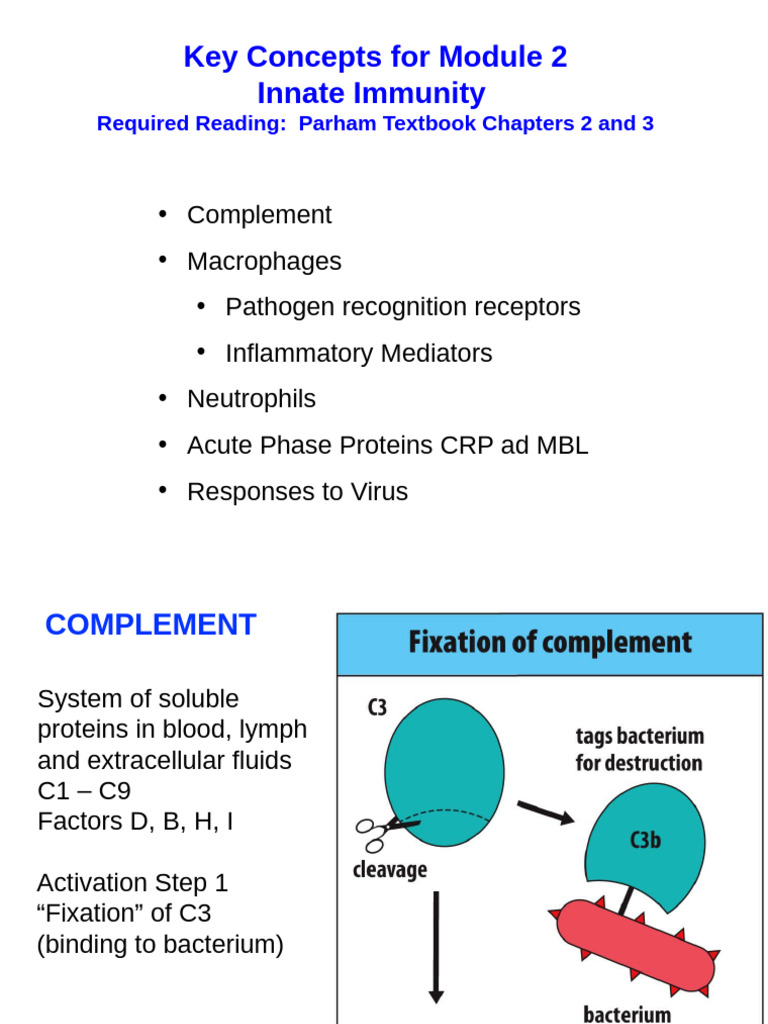 Module 2 Innate Immunity | PDF