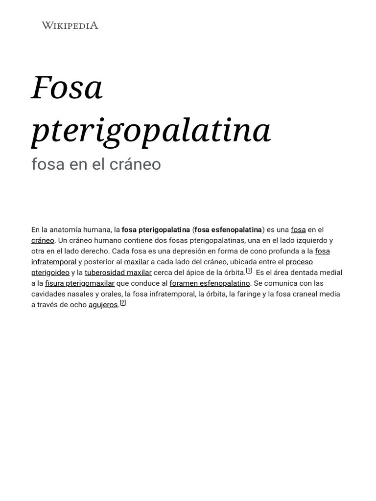 Fosa Pterigopalatina - Wikipedia, La Enciclopedia Libre | PDF
