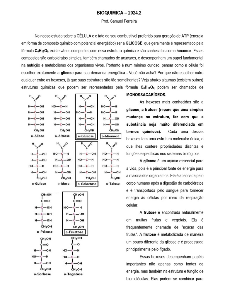 FolhaCast 2 - Sobre Glicose - 2024.2 - Bioquimica | PDF