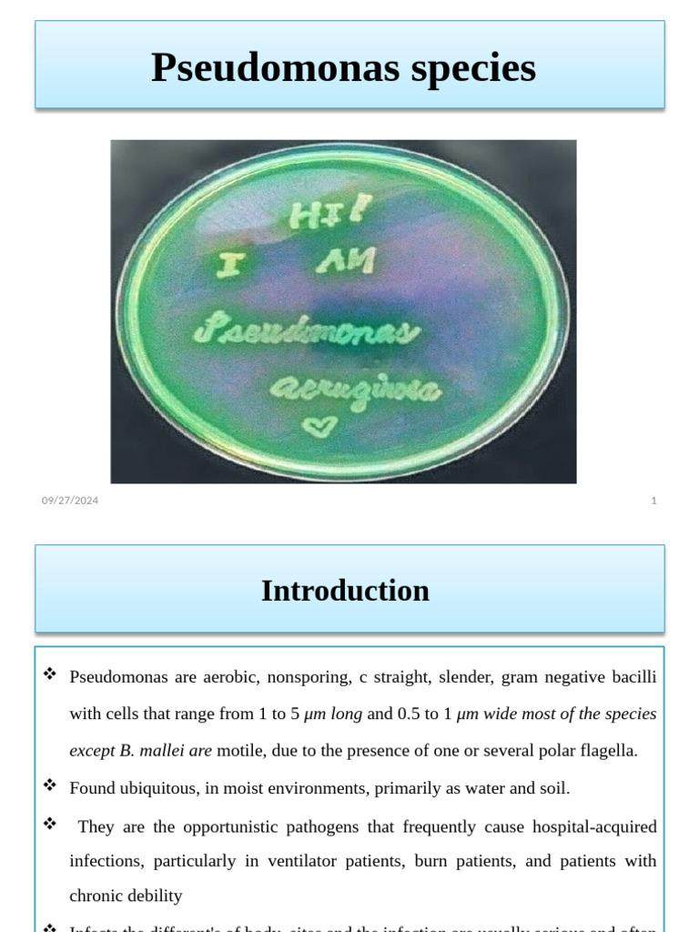 Pseudomonas | PDF