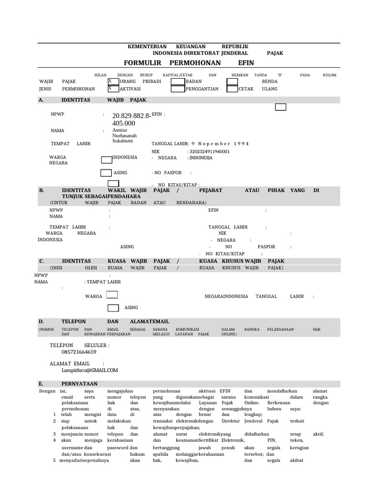 Form Permohonan EFIN doc | PDF