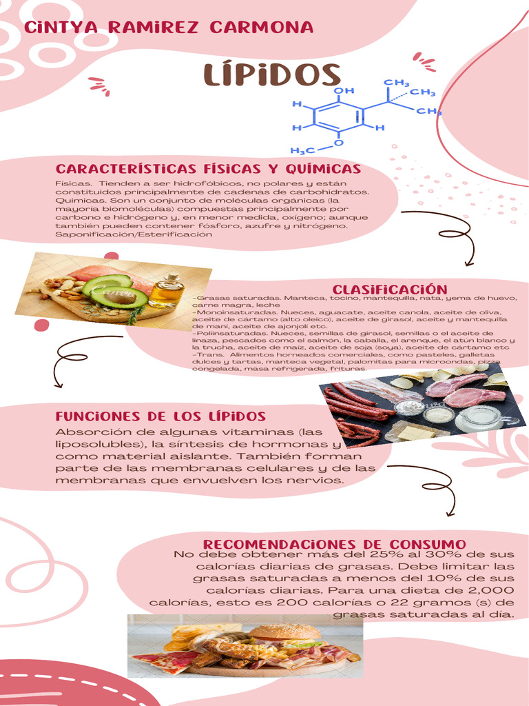 Infografía de Lípidos | PDF