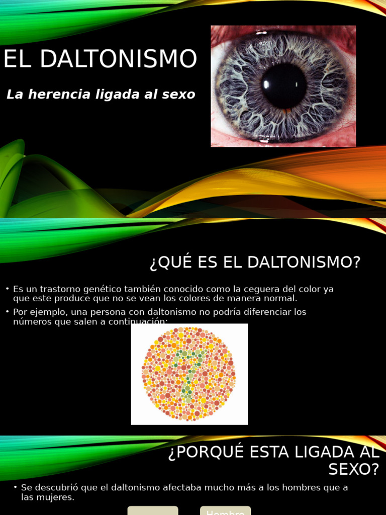 El Daltonismo 2024 | PDF