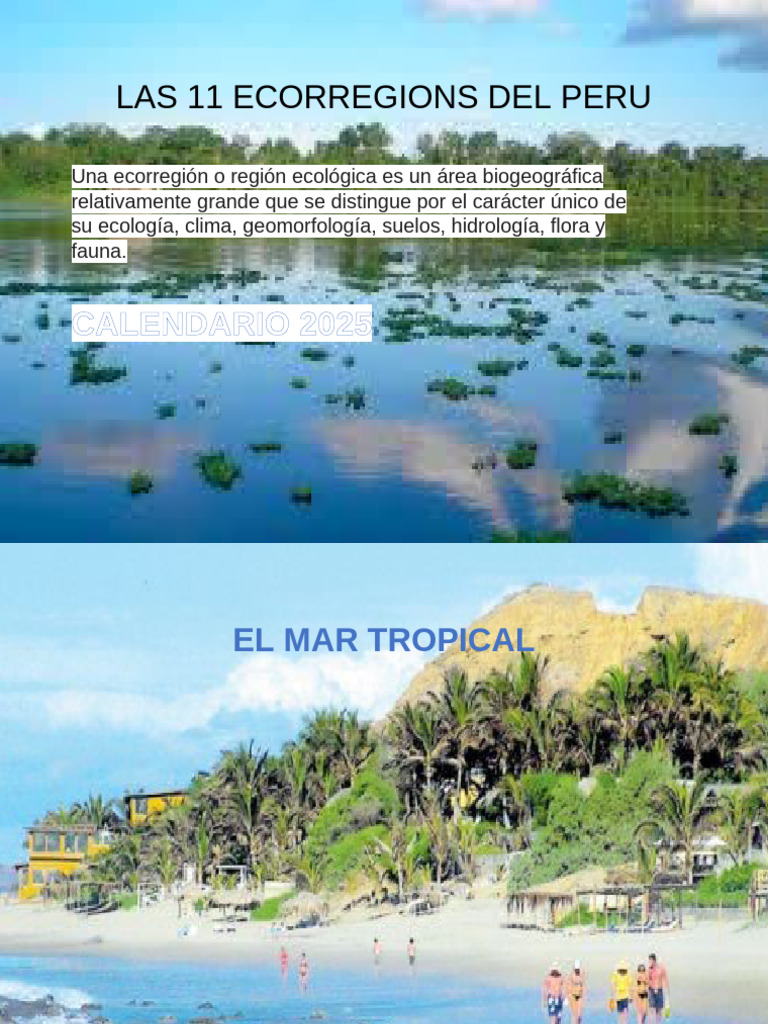 Tarea de Calendario | PDF