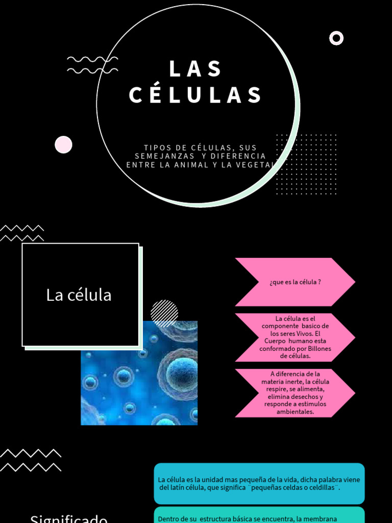 celulas | PDF