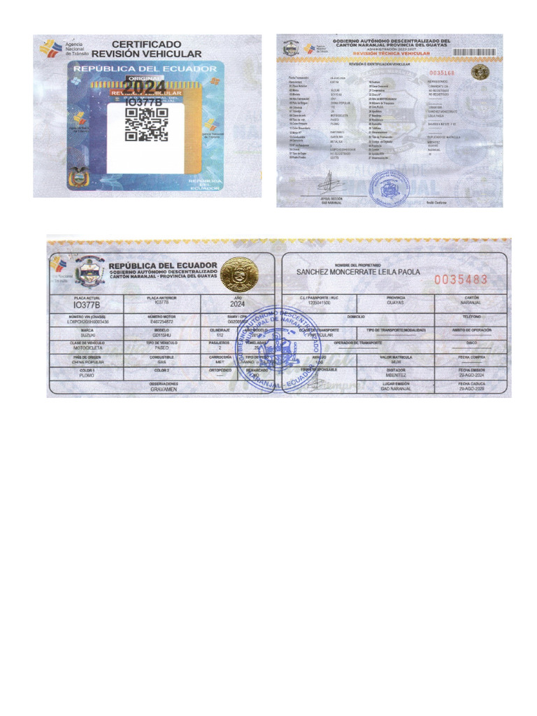 Formato de Matricula | PDF