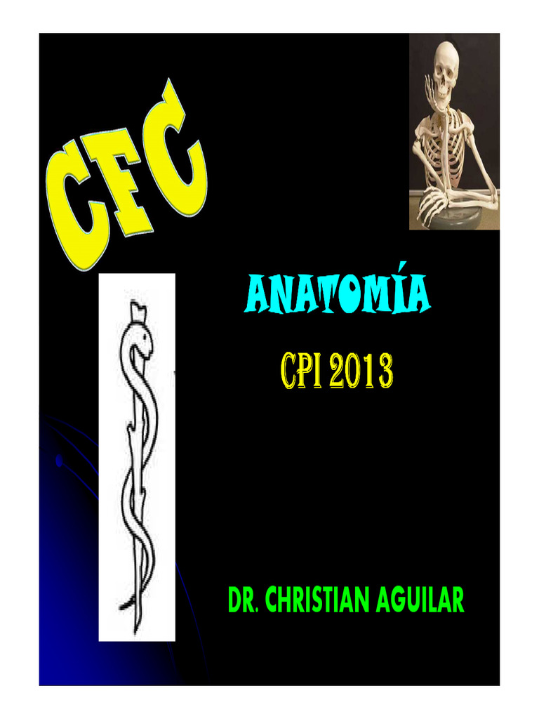 CFC - Nervios MS | PDF
